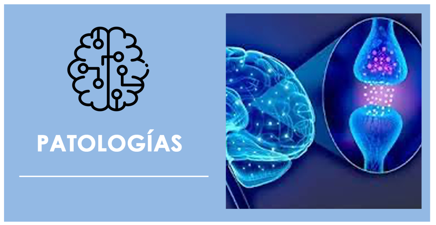 Neurofisiología – Hospital Multimédica